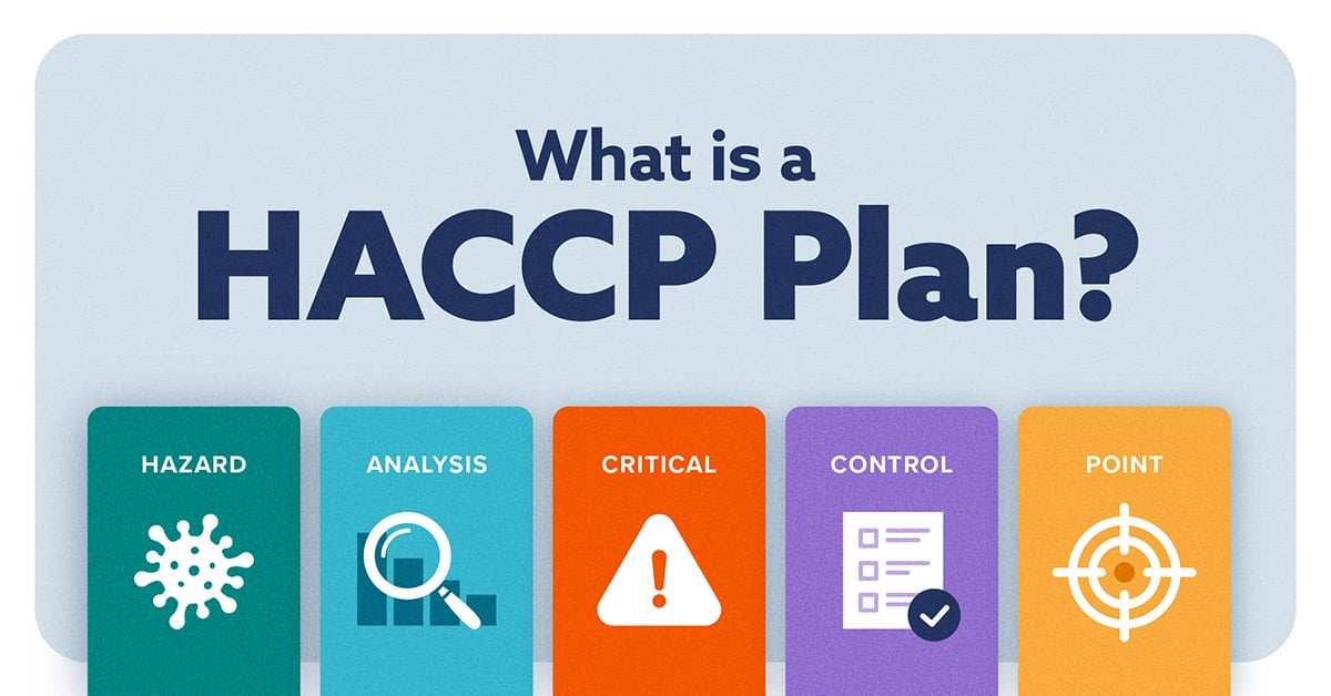 HACCP Plan and Training (With Examples)
