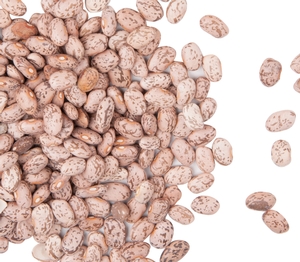 Dried Pinto Beans - 20 lb.