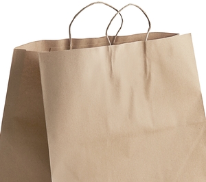 Choice 16" x 11" x 18 1/4" Natural Kraft Paper Customizable Shopping ...