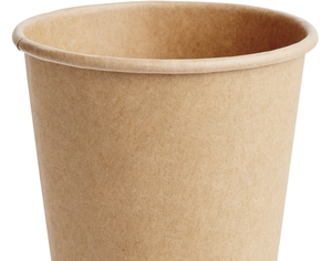 Choice 12 oz. Kraft Poly Paper Hot Cup - 1,000/Case