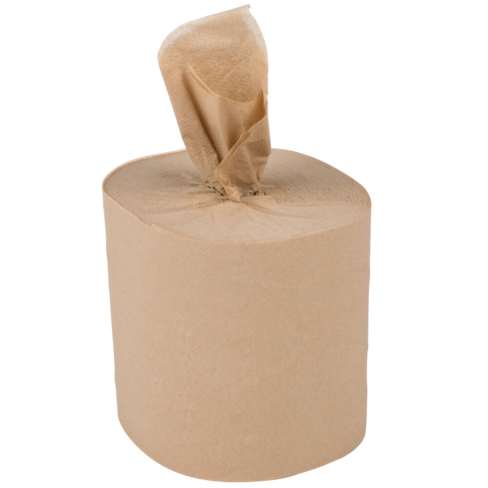 Bulk Paper Towels, 2-Ply, 500' - 6/Case | WebstaurantStore