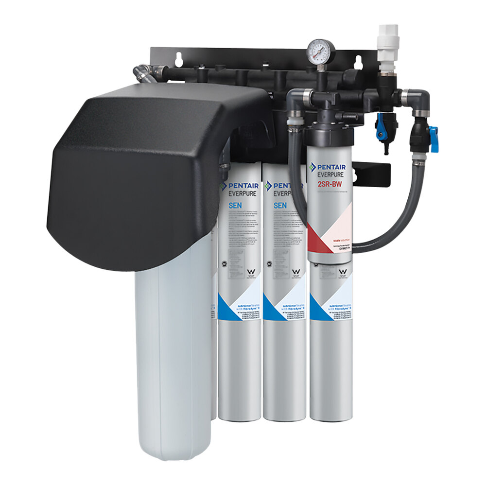 Everpure EV9437-32 Endurance High Flow Quad Water Filtration System ...