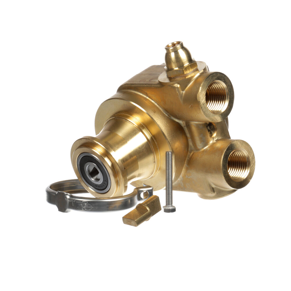 Multiplex 00702928 Pump