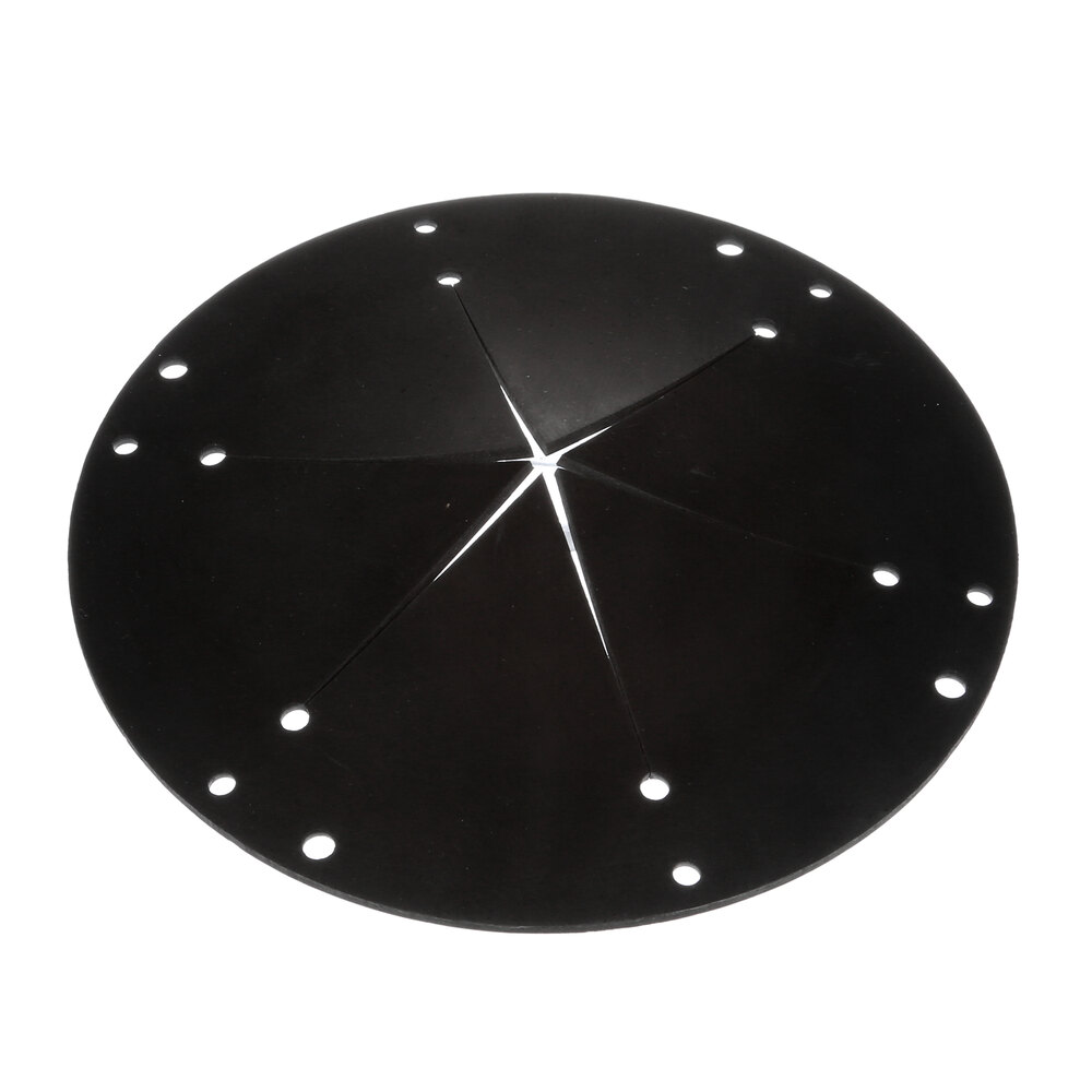 InSinkErator 11292A Baffle Permanent
