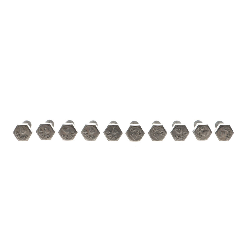 Rational 1006.0761P Hex Screw M6X12 - 10/Pack