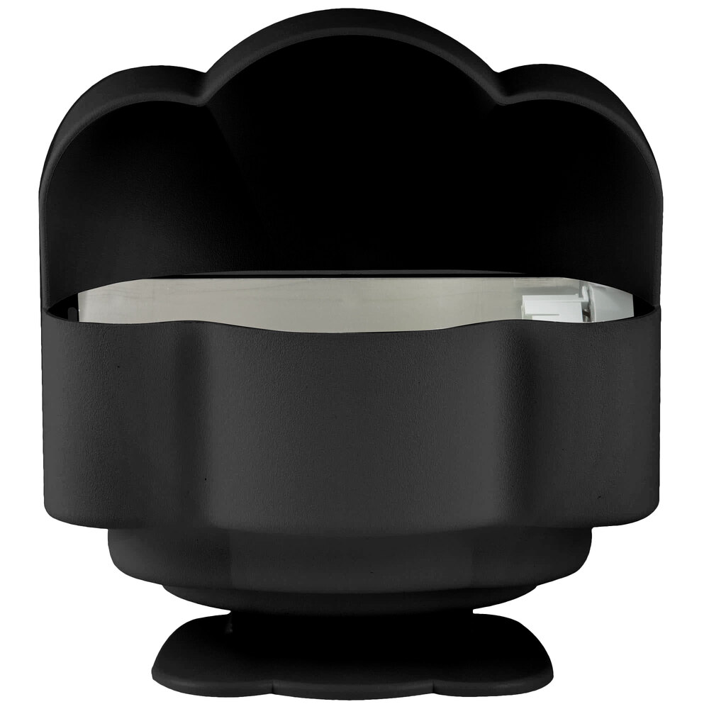 Paraclipse 350717 Fly Patrol Black Fly / Insect Trap, 1000 sq. ft ...