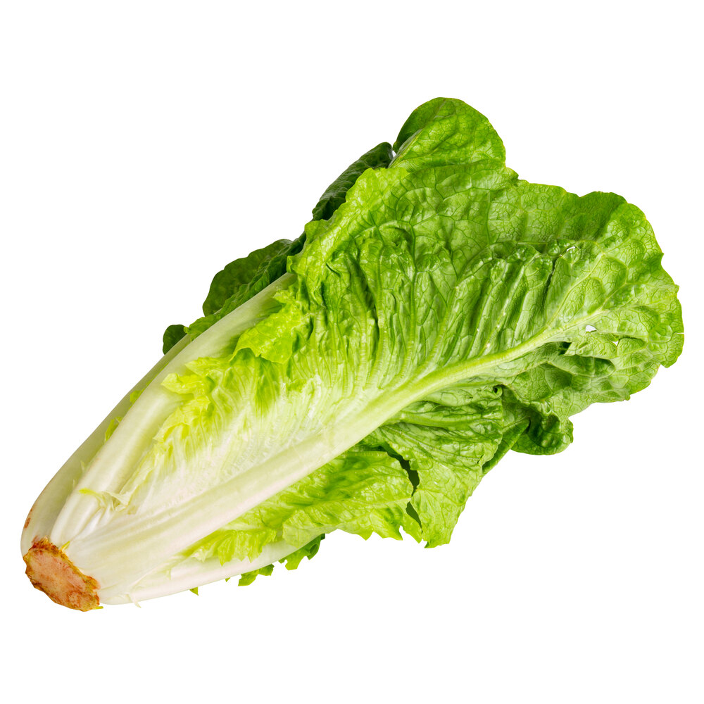 California Romaine Lettuce - 24/Case