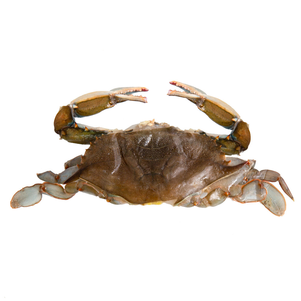 Linton's 5 3/4" Jumbo Soft Shell Blue Crabs - 6/Case