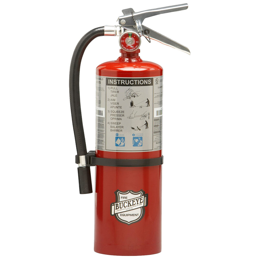 Buckeye 5 lb. Standard Dry Chemical Fire Extinguisher with Wall Mount ...