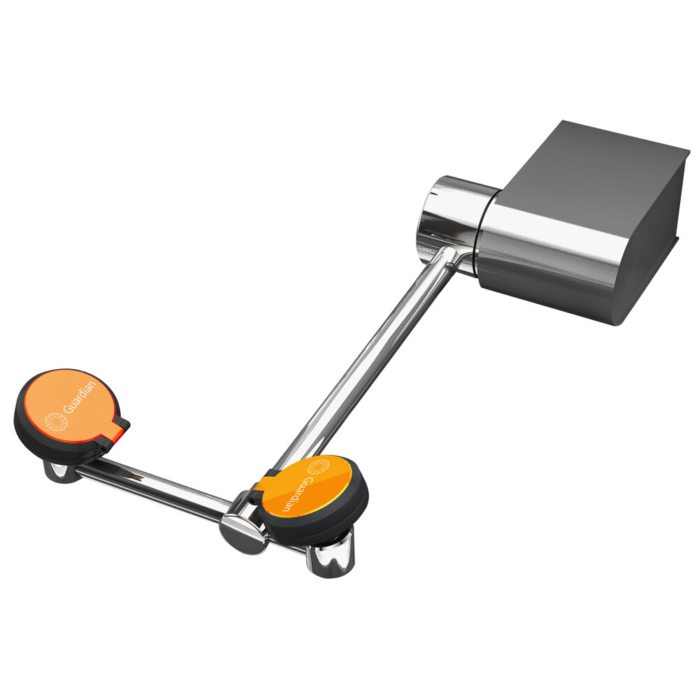 Guardian Equipment G1778 AutoFlow Wall Mounted Eye and Face Wash ...