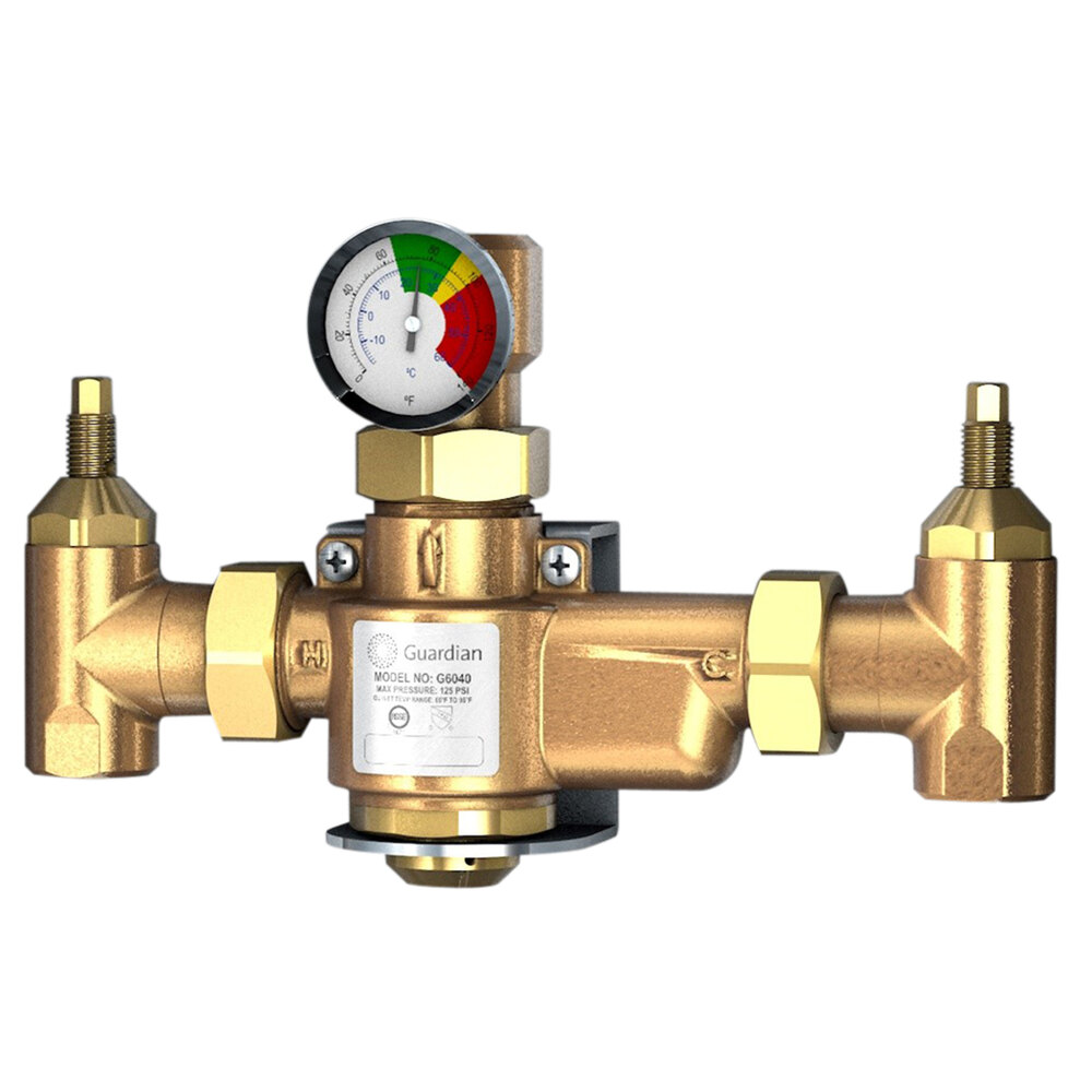 Guardian Equipment G6042 Thermostatic Mixing Valve in Surface Mounted ...