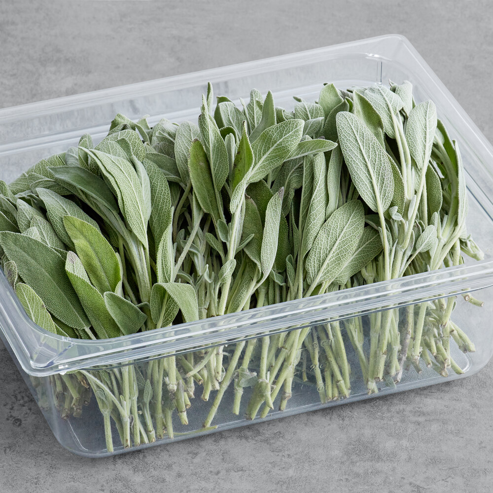 Sage 2.2 lb.