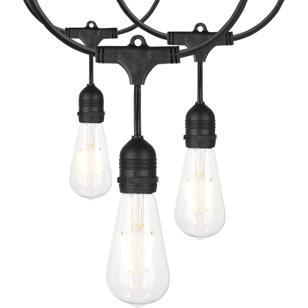 24' LED String Lights with (12) ST19 Bulbs - 120V, 24W, 2200K