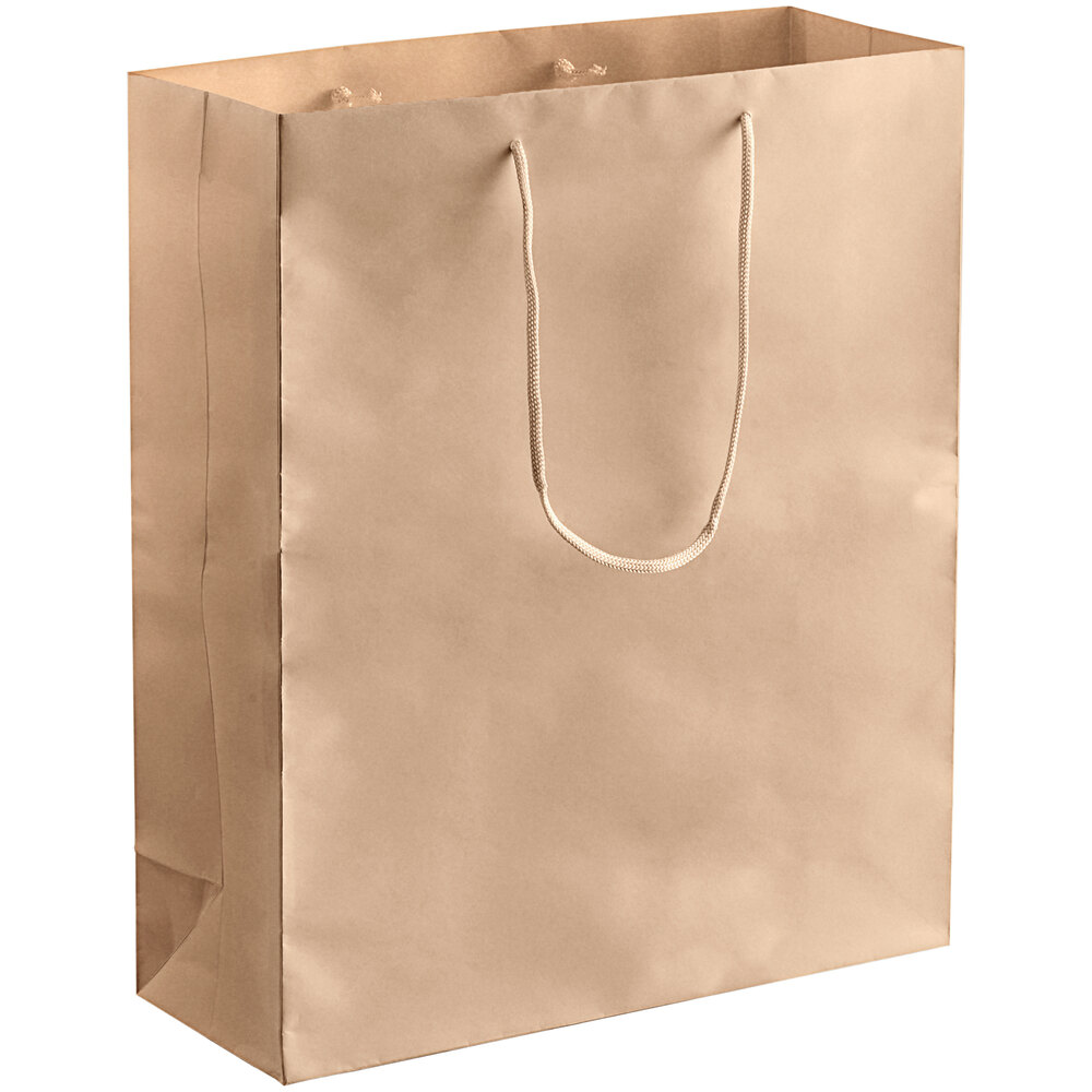 16" x 6" x 19" Brown Paper Bag with Rope Handles - 100/Case