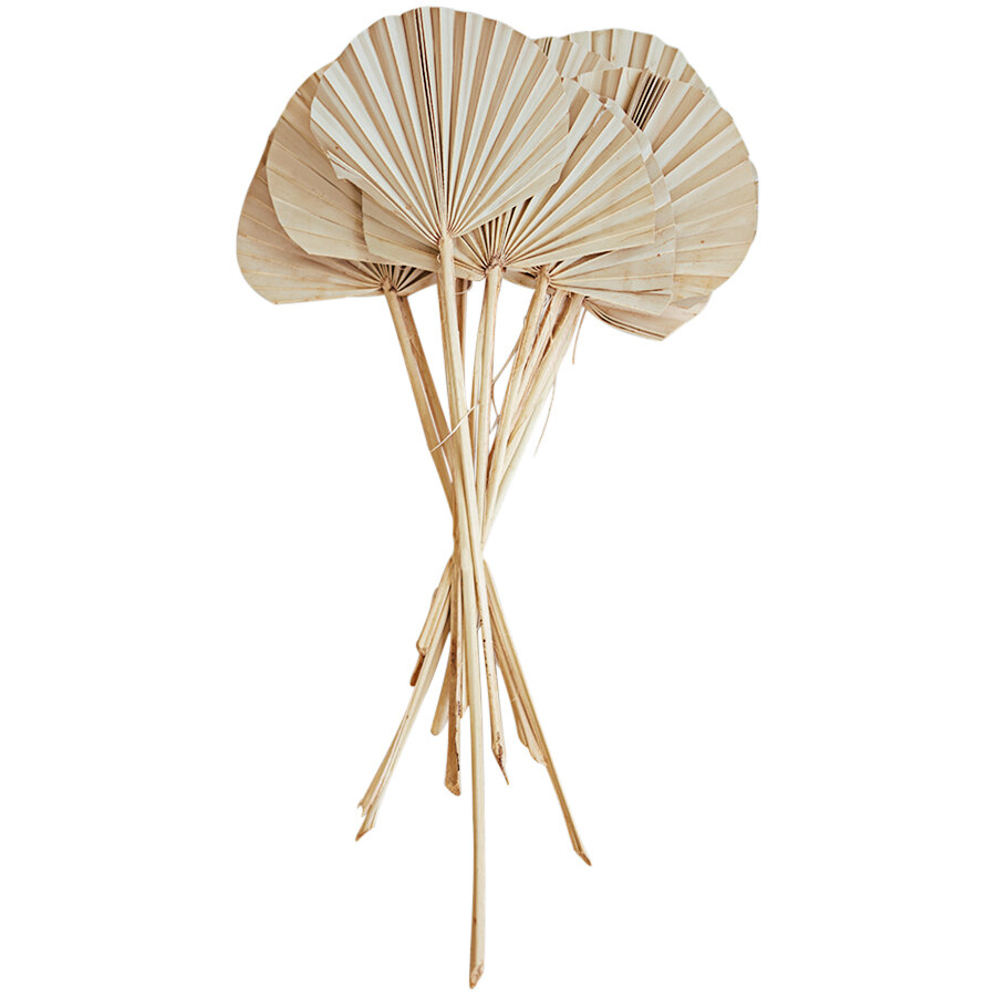 Kalalou 20" Dried Natural Rounded Palm Spears 12-Piece Bundle - 6/Case