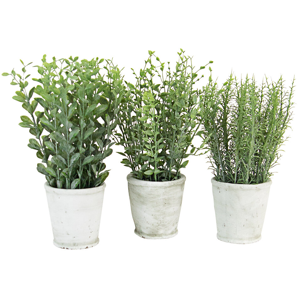 Kalalou 3-Piece Artificial Herb Set in Cement Pots