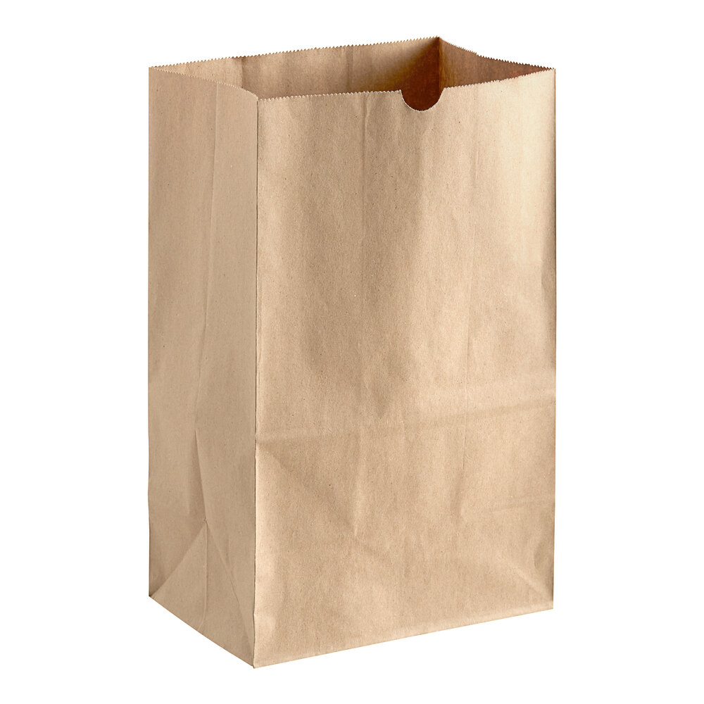 Choice Heavy Duty 20 lb. Shorty Heavy-Duty Natural Kraft Paper Bag ...