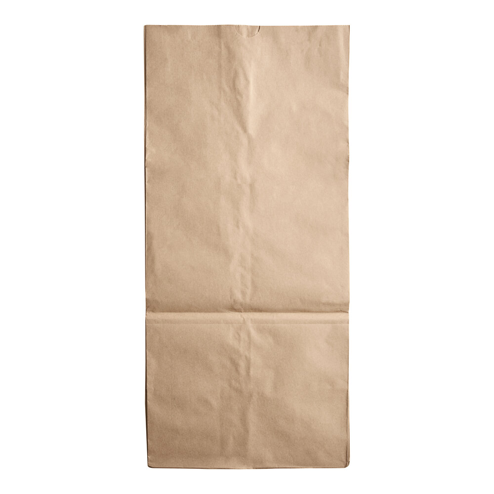 Duro 30 Gallon Self-Standing 2-Ply Natural Kraft Paper Lawn and Leaf ...
