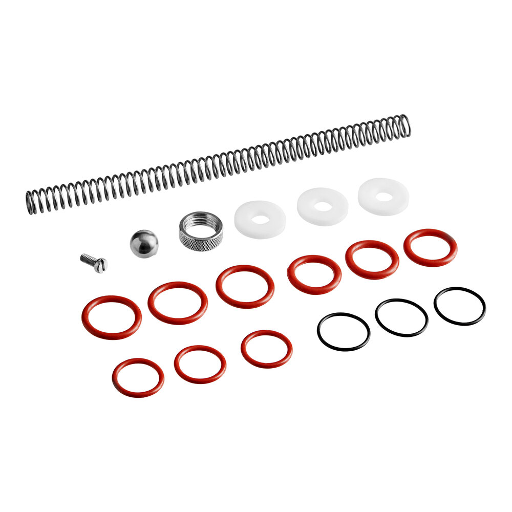 ServSense Replacement Spare Parts Set for 2 Qt. and 4 Qt. Inset Pumps