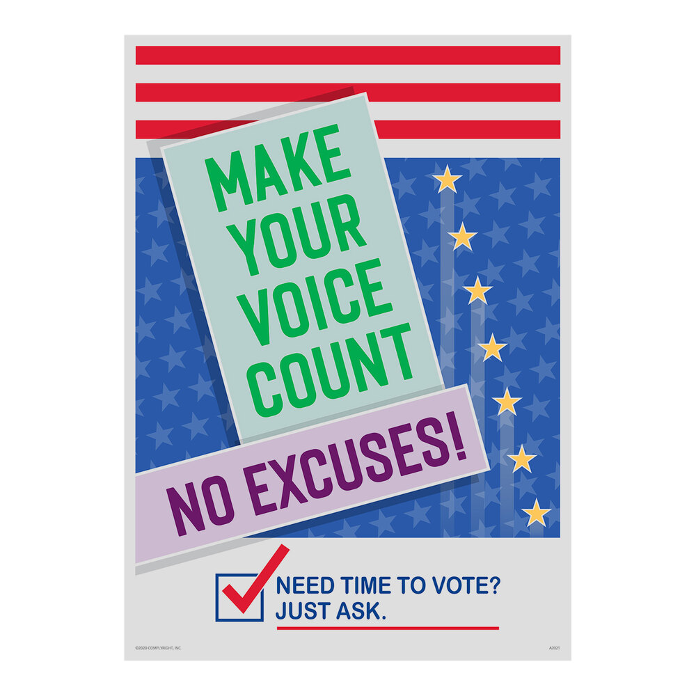 Your Vote Is Your Voice Poster