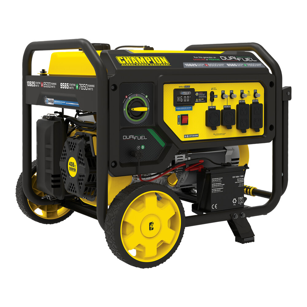 Champion Power Equipment 459 CC Dual Fuel Portable Generator with ...