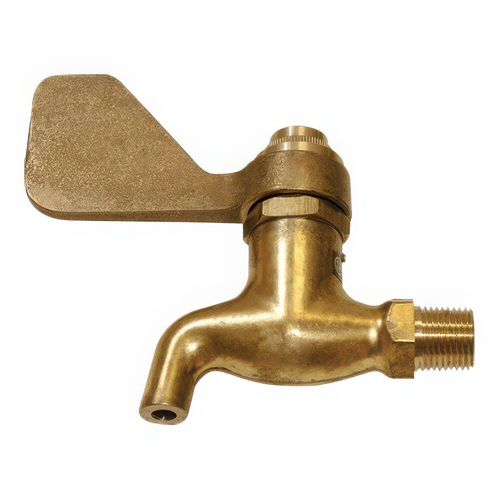Haws 6252EHLF Wall-Mount Self Closing Bib Faucet