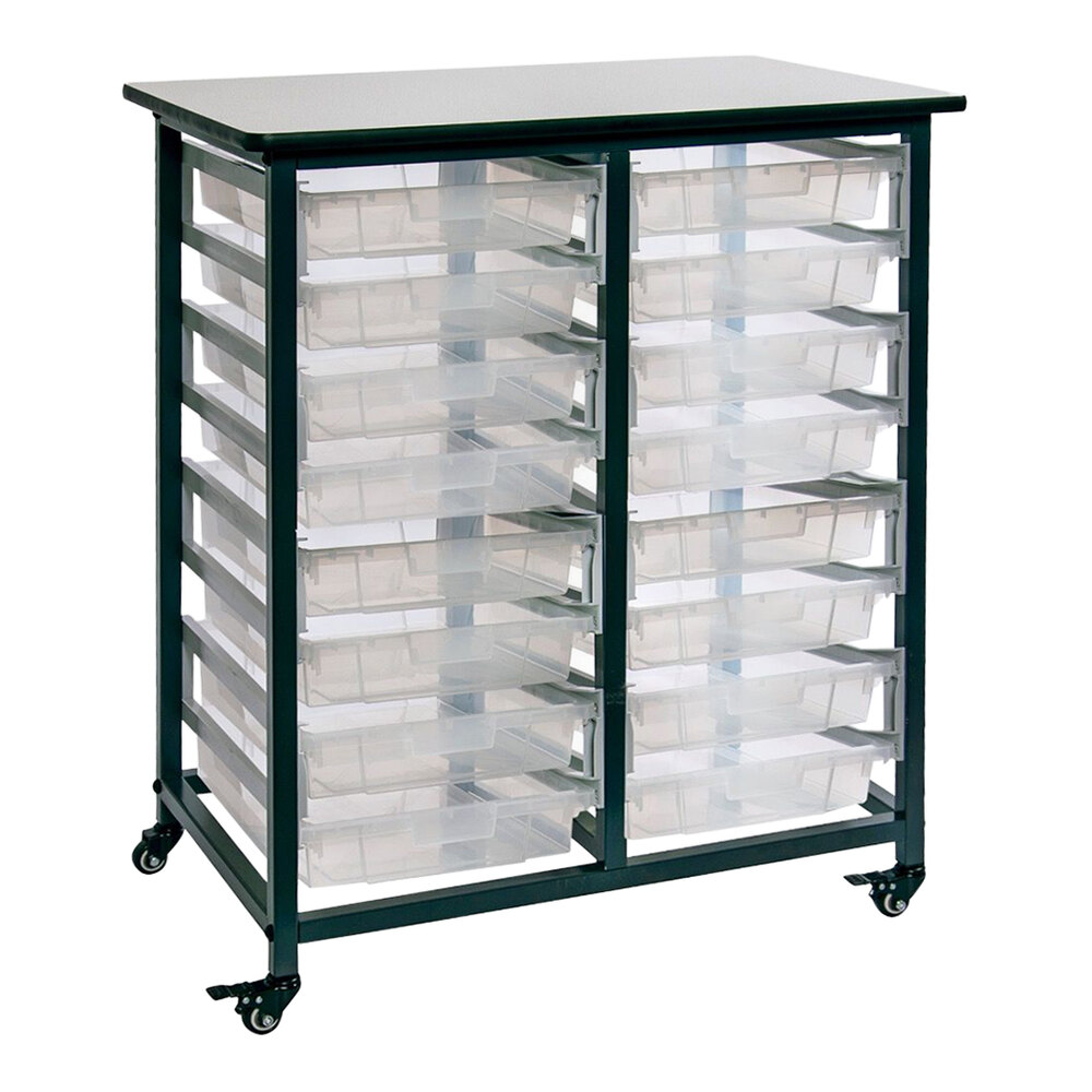 Luxor Double-Row Mobile Bin Storage Unit with 16 Small Clear Bins MBS ...