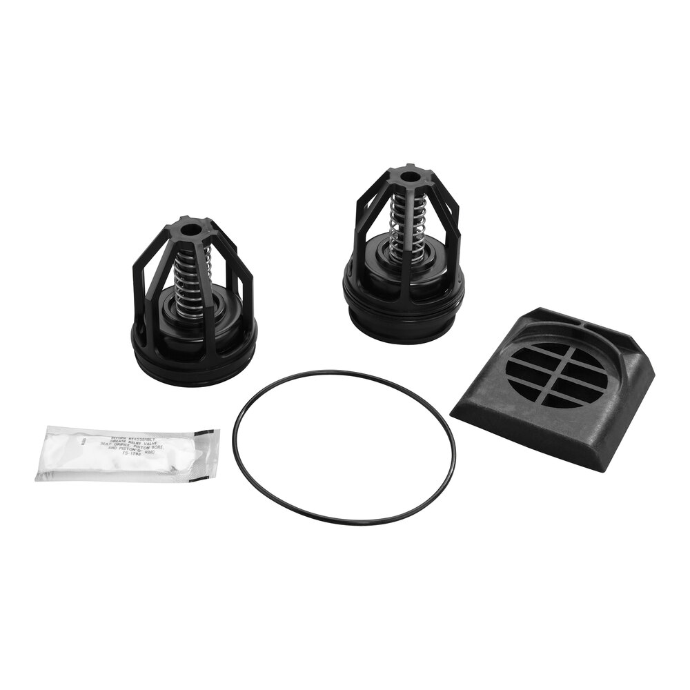 Watts 0887723 RK 007M2-T 1 1/4" - 1 1/2" Double Check Valve Total ...