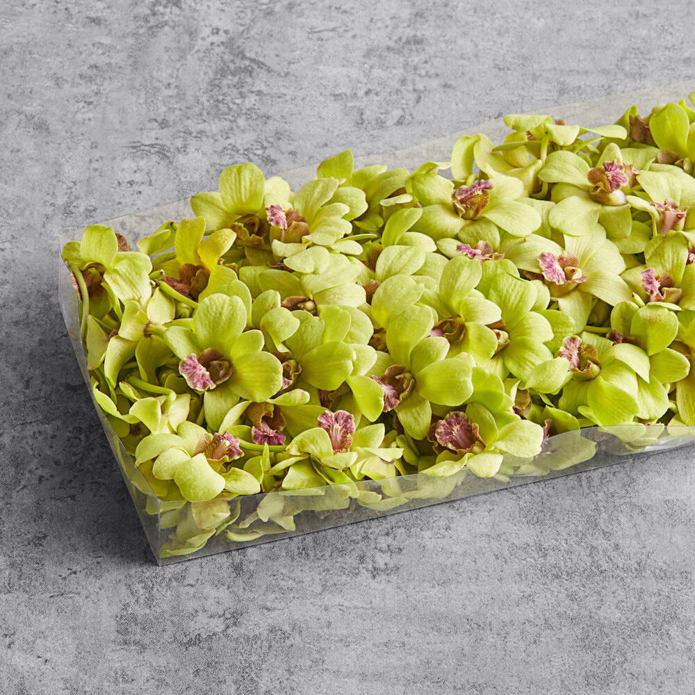 Bulk Fresh Cut Green Orchids - 100/Case