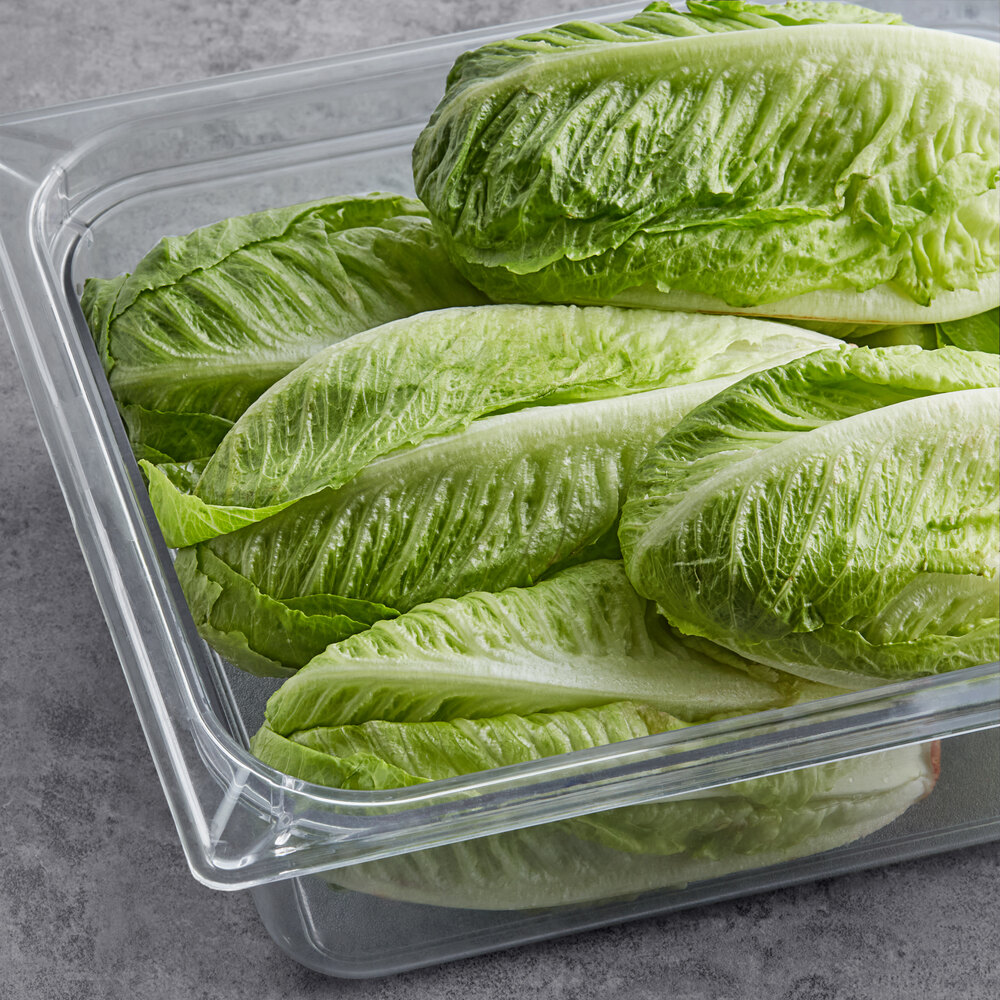 Fresh Artisan Romaine Lettuce - 24/Case
