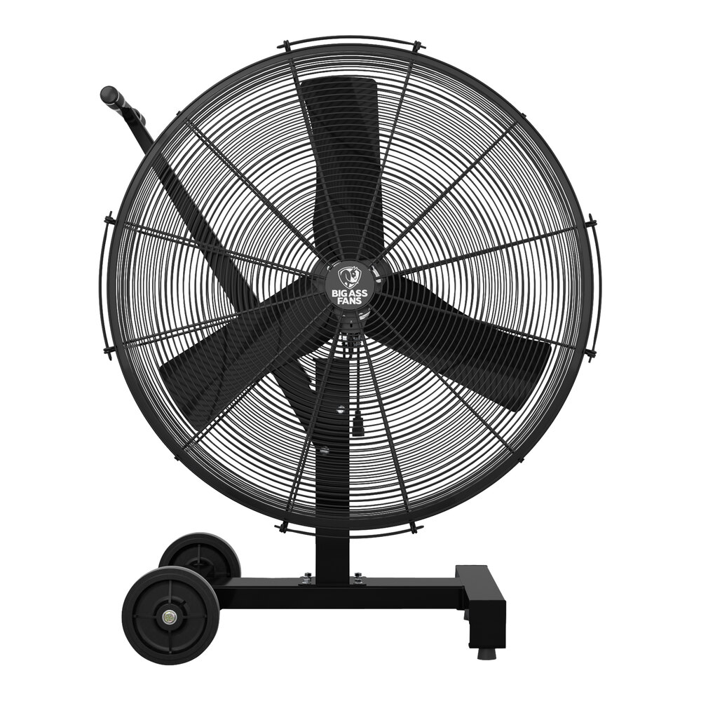 Big Ass Fans AirEye 36" Midnight Black Pedestal / Low Rider Fan - 120V ...