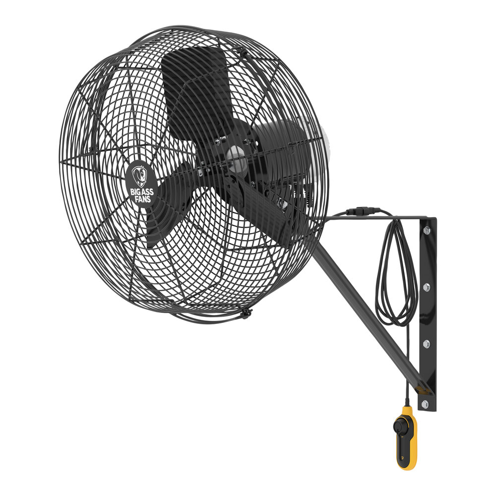 Big Ass Fans AirEye 20" Midnight Black Wall-Mounted Fan - 120V, 1/3 hp