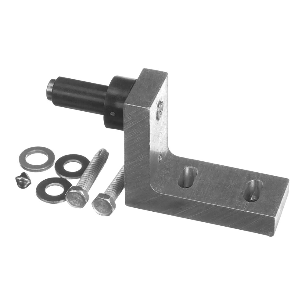 True Refrigeration 977437 Hinge Assembly Btm Tfp-72-30M