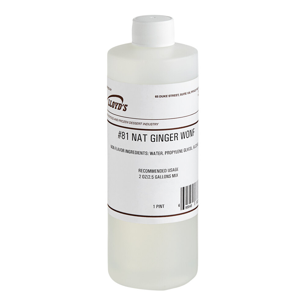 Lloyd's of Pennsylvania Ginger Hard Serve Ice Cream Flavoring 16 fl. oz ...