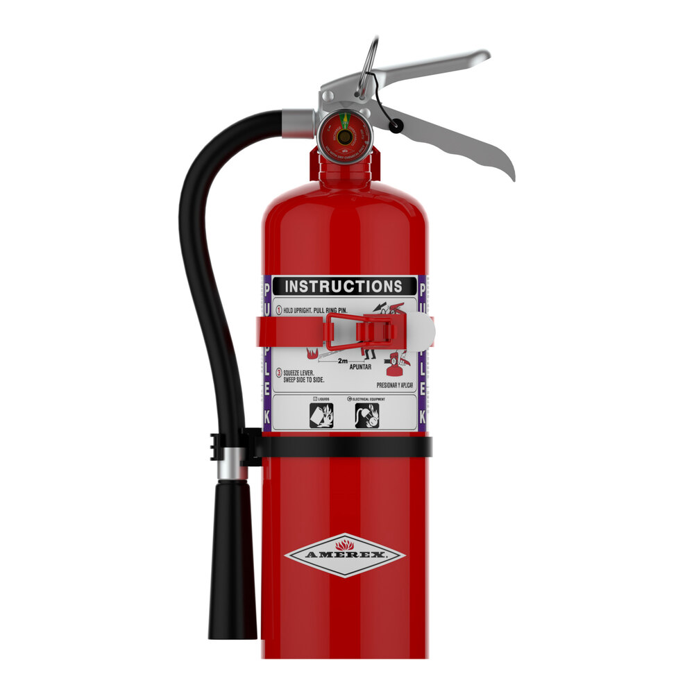 Amerex B479T 5 lb. Purple K Dry Chemical Fire Extinguisher with Hose ...