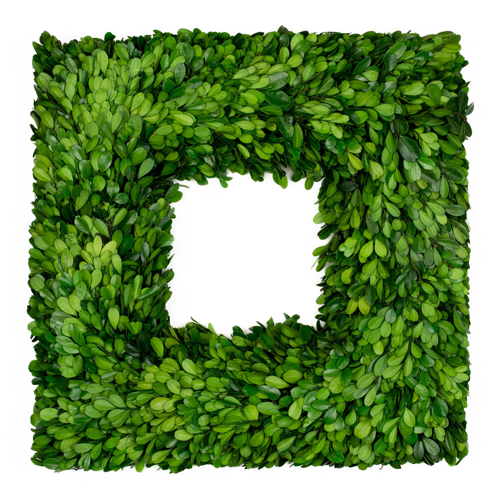 Mills Floral Company 16" Preserved Boxwood Square Wreath