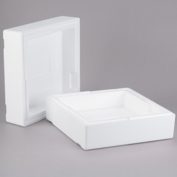 Polar Tech Small Insulated Shipping Container (10" x 10")