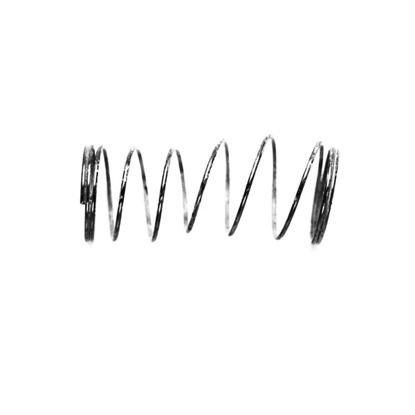 AllPoints 51-1276 Regulator Conversion Spring - Natural Gas to Liquid ...