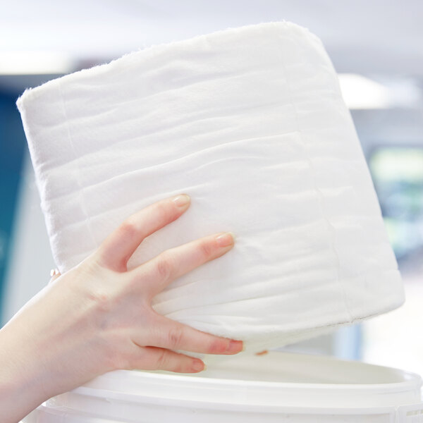 WipesPlus Lemon Scent Alcohol Free Disinfecting Wipes and Bucket