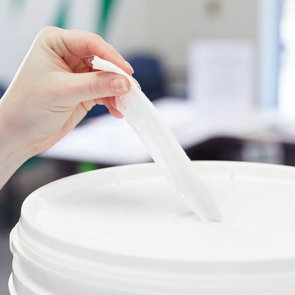 WipesPlus Lemon Scent Alcohol Free Disinfecting Wipes and Bucket