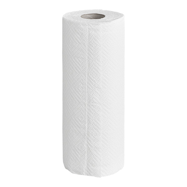 2-Ply Paper Towel Roll - 30/Case | Shop in Bulk
