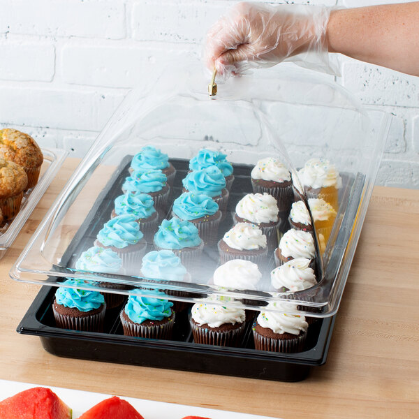 Sample and Display Tray Kit with Black Polycarbonate Tray and Dome ...