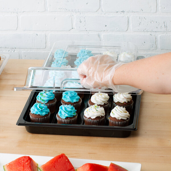 Sample and Display Tray Kit with Black Polycarbonate Tray and Hinged ...