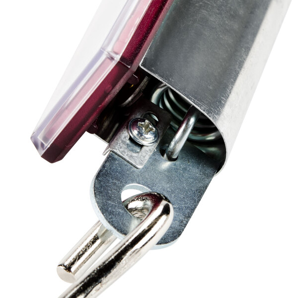 Taylor 3070 Industrial Hanging Spring Scale - 70 lb. x 1 lb.