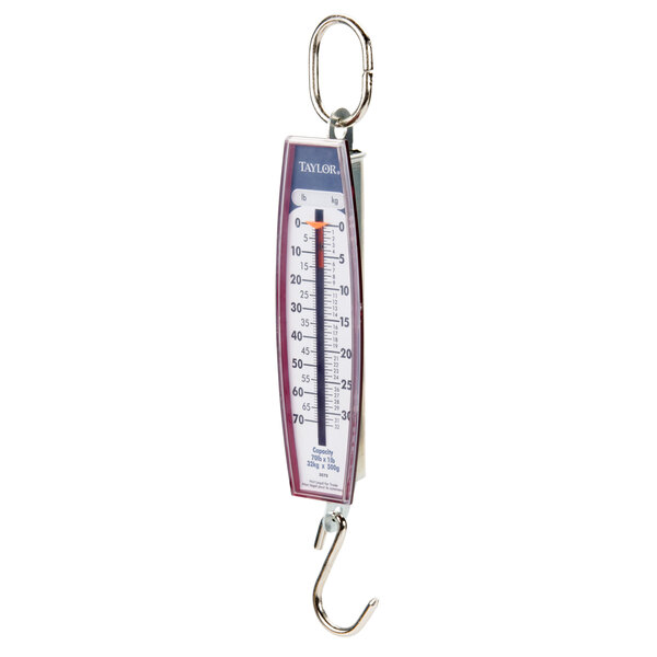 Taylor 3070 Industrial Hanging Spring Scale - 70 lb. x 1 lb.