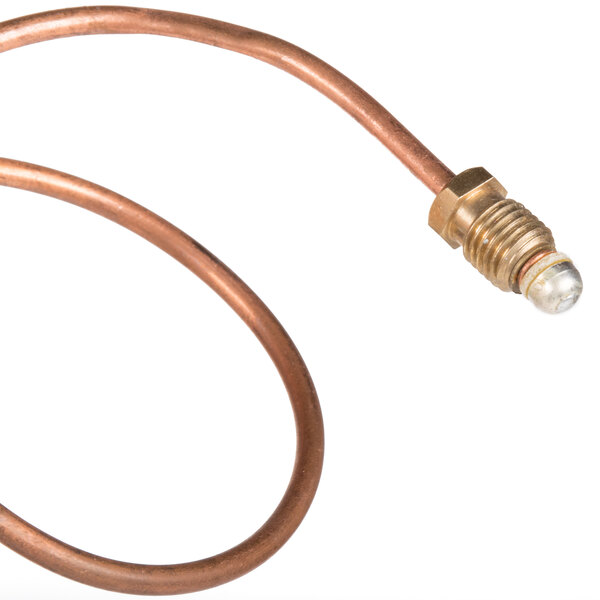 Cooking Performance Group 3511069542 Pilot with Thermocouple