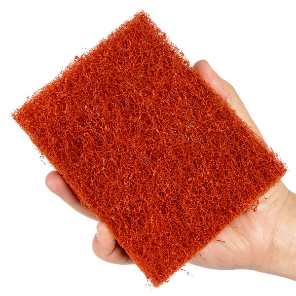 3M 746 Scotch-Brite™ 4" x 5 1/4" Quick Clean Heavy-Duty Griddle Pad ...