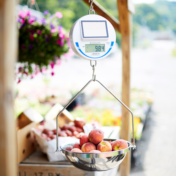 Cardinal Detecto SCS30 30 lb. Solar Power Hanging Scale, Legal for Trade