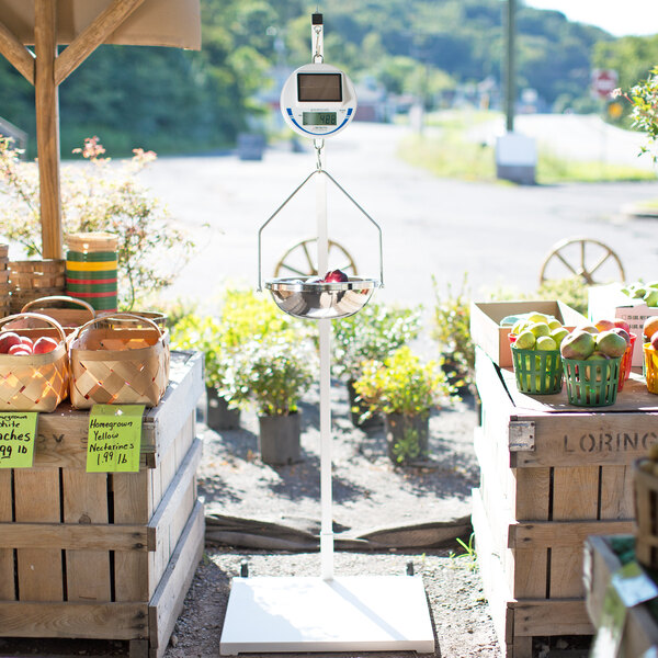 Cardinal Detecto HS-STAND Portable Scale Stand