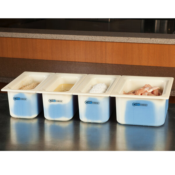 Carlisle CM1106KITC1402 Coldmaster CoolCheck Batter Pro Kit 1/3 and 1/2 ...